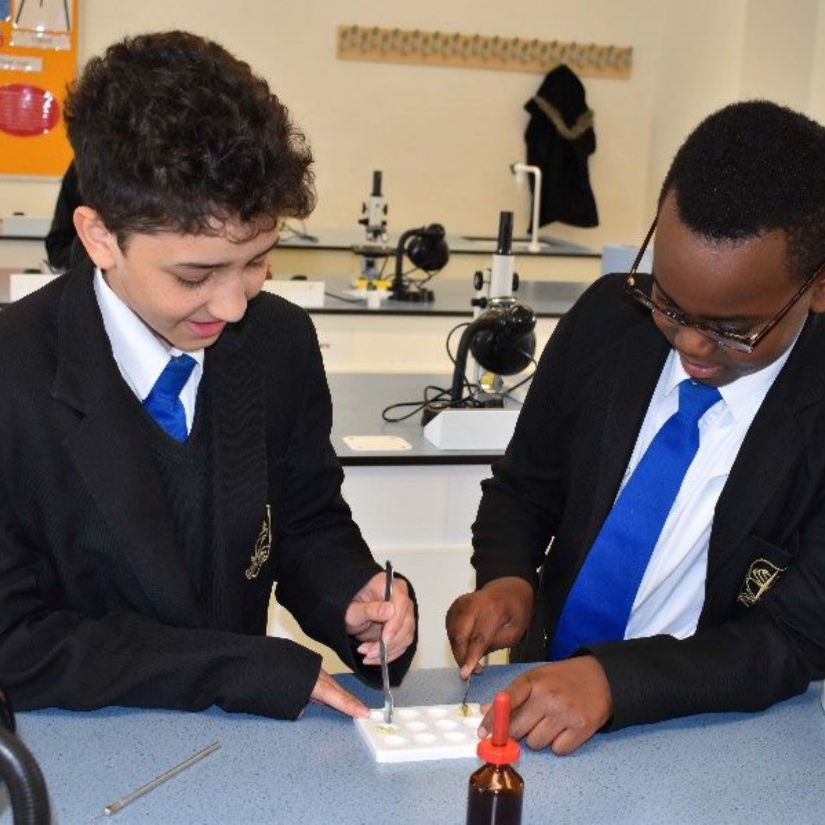 Southfields Academy - Parents' Newsletter